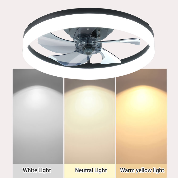 Wrought Studio Dukens Ceiling Fan with LED Lights | Wayfair